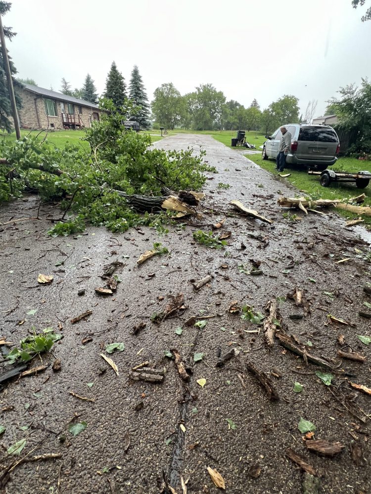 Lightning Strikes Tree - SkySpy Photos, Images, Video Lightning Strikes Tree - SkySpy Photos, Images, Video