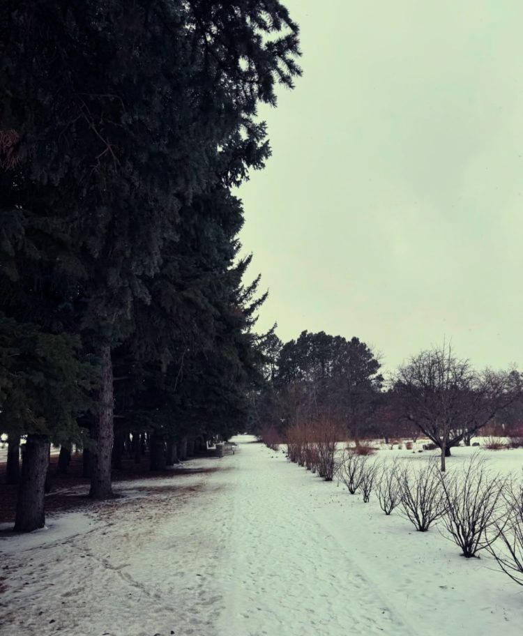 Wintery walk - SkySpy Photos, Images, Video