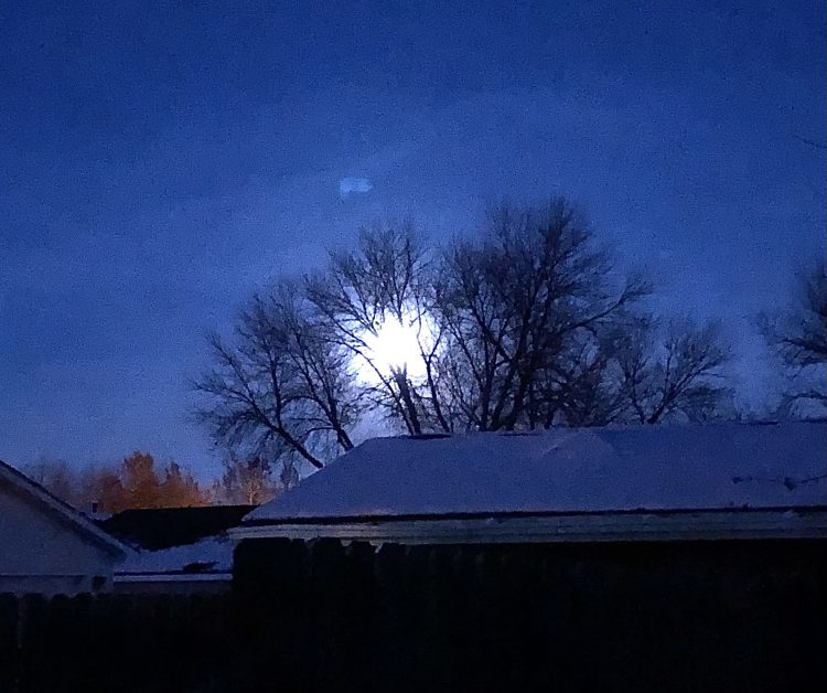 Wolf Moon Rising - SkySpy Photos, Images, Video