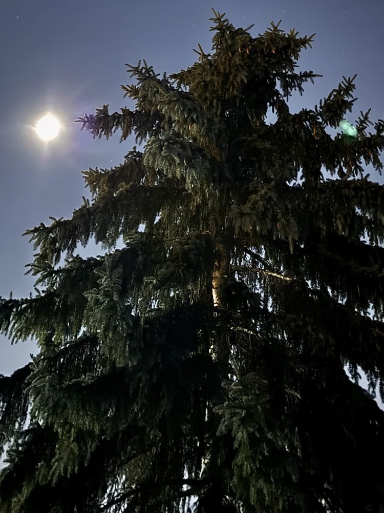 Visiting Moon - SkySpy Photos, Images, Video