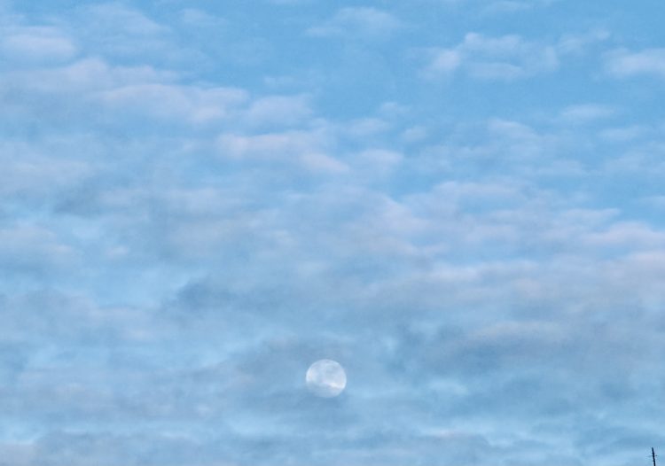 Light Blue Moon - SkySpy Photos, Images, Video