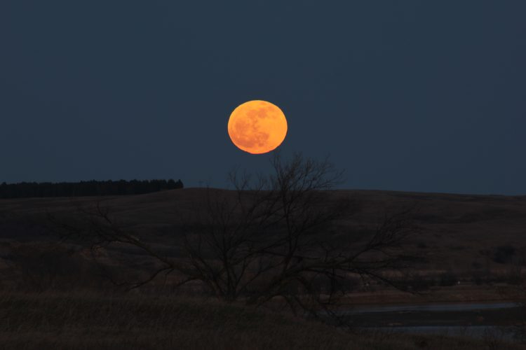 Tuesday Evening Moonrise - SkySpy Photos, Images, Video