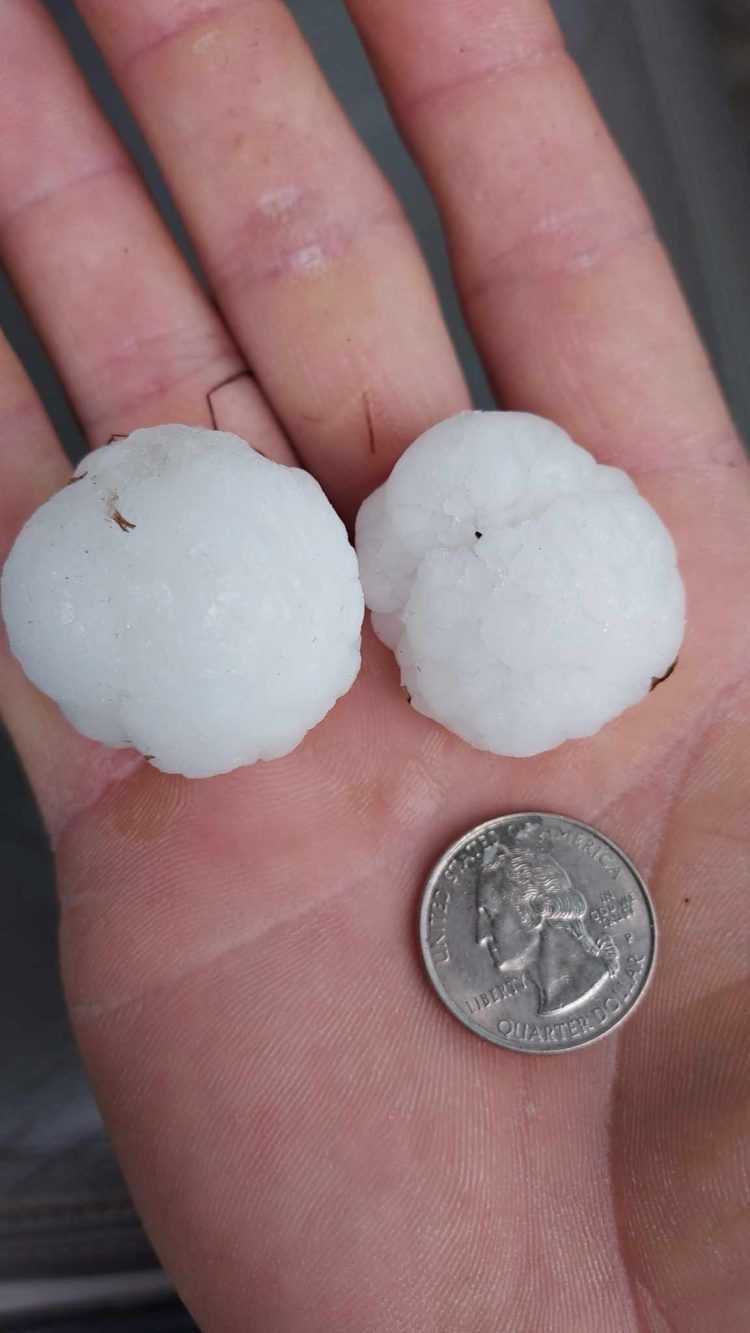 Quarter Size Hail - SkySpy Photos, Images, Video