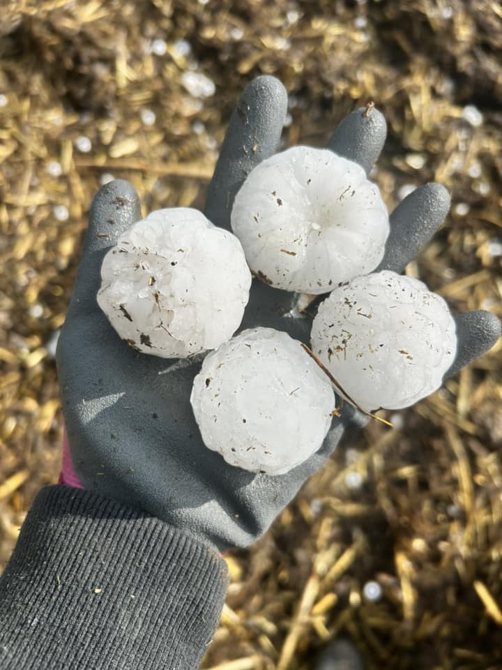 Large Hail - SkySpy Photos, Images, Video