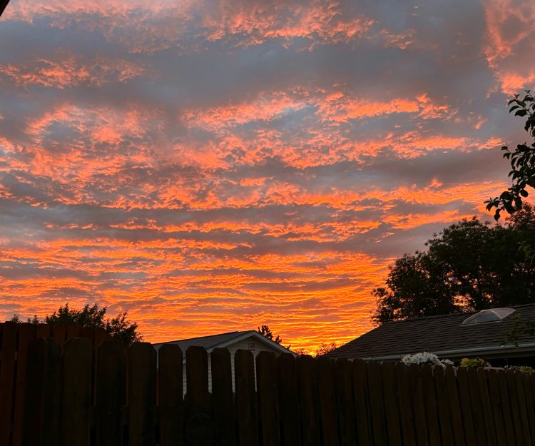 Back door view - SkySpy Photos, Images, Video