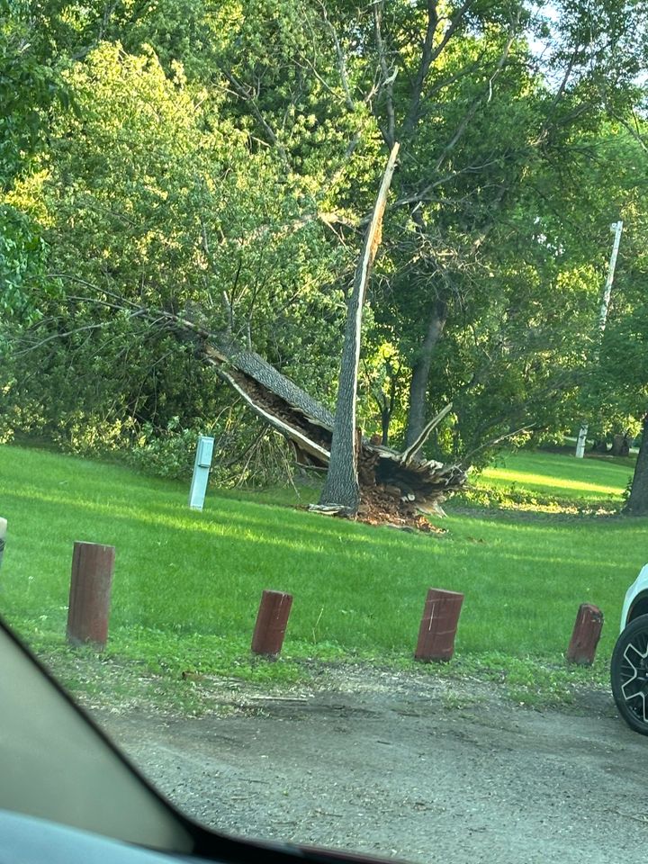 Large Tree Down - SkySpy Photos, Images, Video