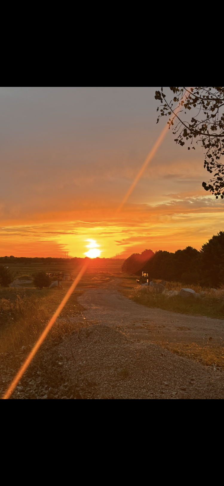 Monday Sunrise - SkySpy Photos, Images, Video