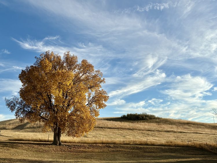 Awesome October day! - SkySpy Photos, Images, Video