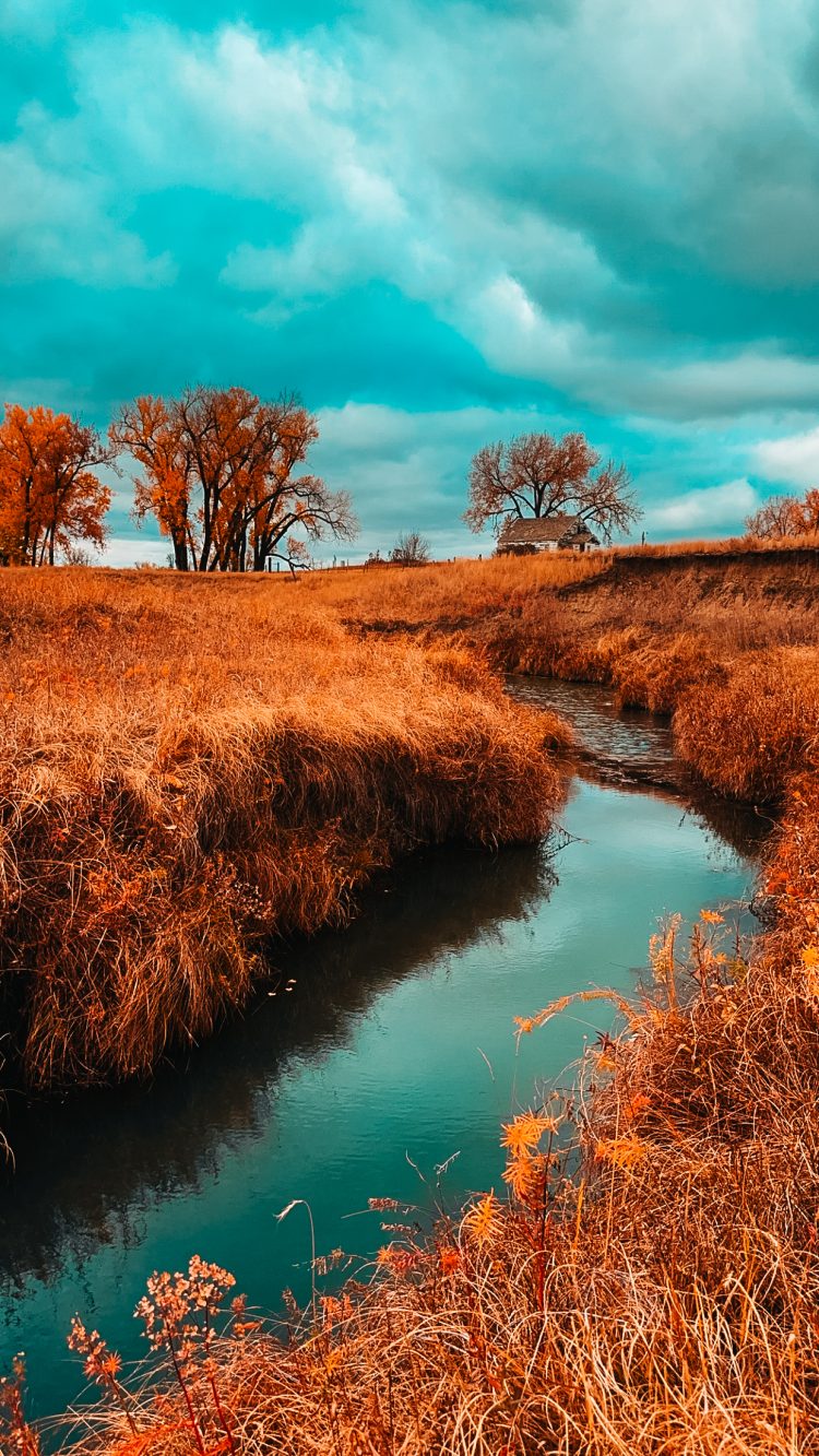 Feels Like Fall - SkySpy Photos, Images, Video