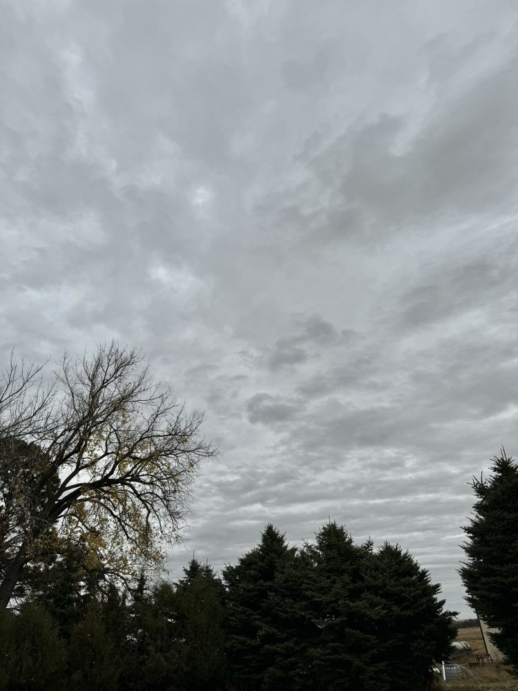 Overcast Tuesday - SkySpy Photos, Images, Video