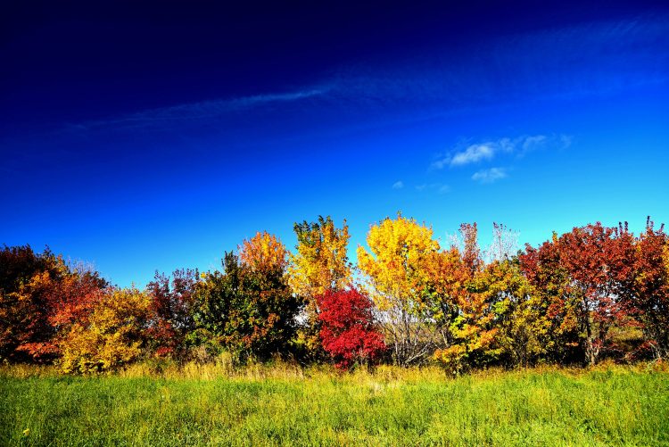 Last year’s Fall a lot prettier !!! This year DULL !! - SkySpy Photos ...