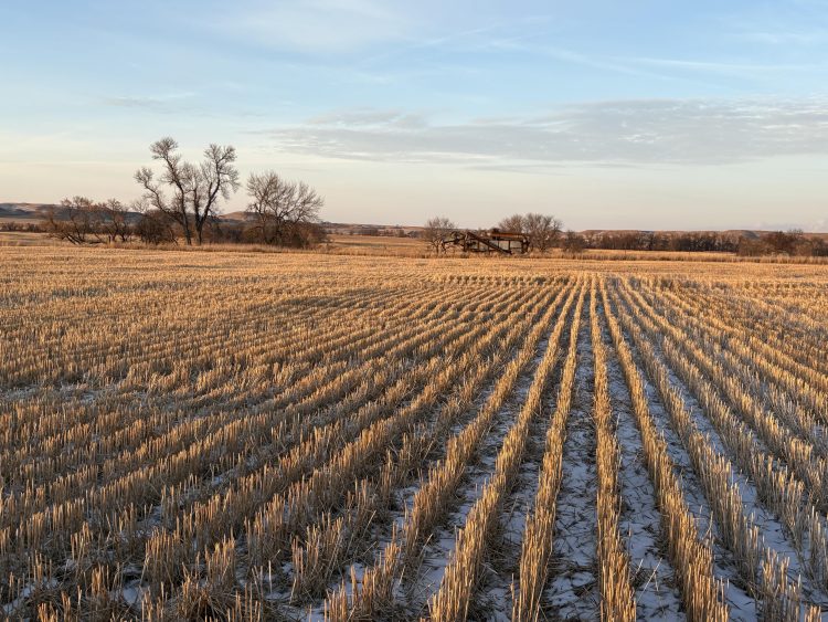 Nice December evening - SkySpy Photos, Images, Video