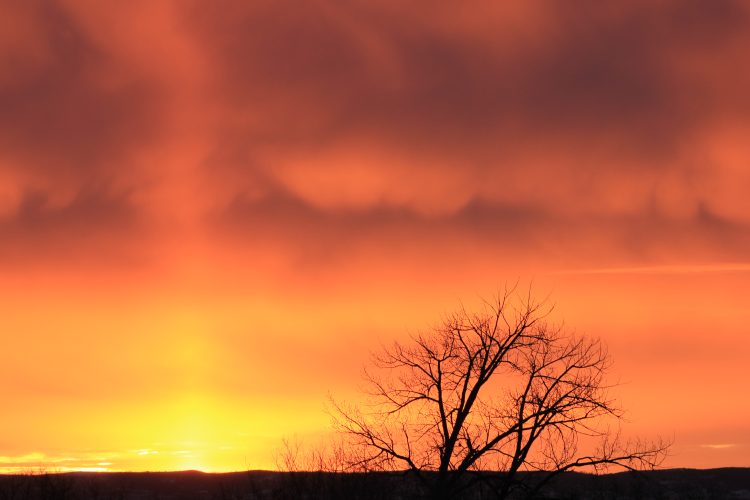 Friday Sunset - SkySpy Photos, Images, Video