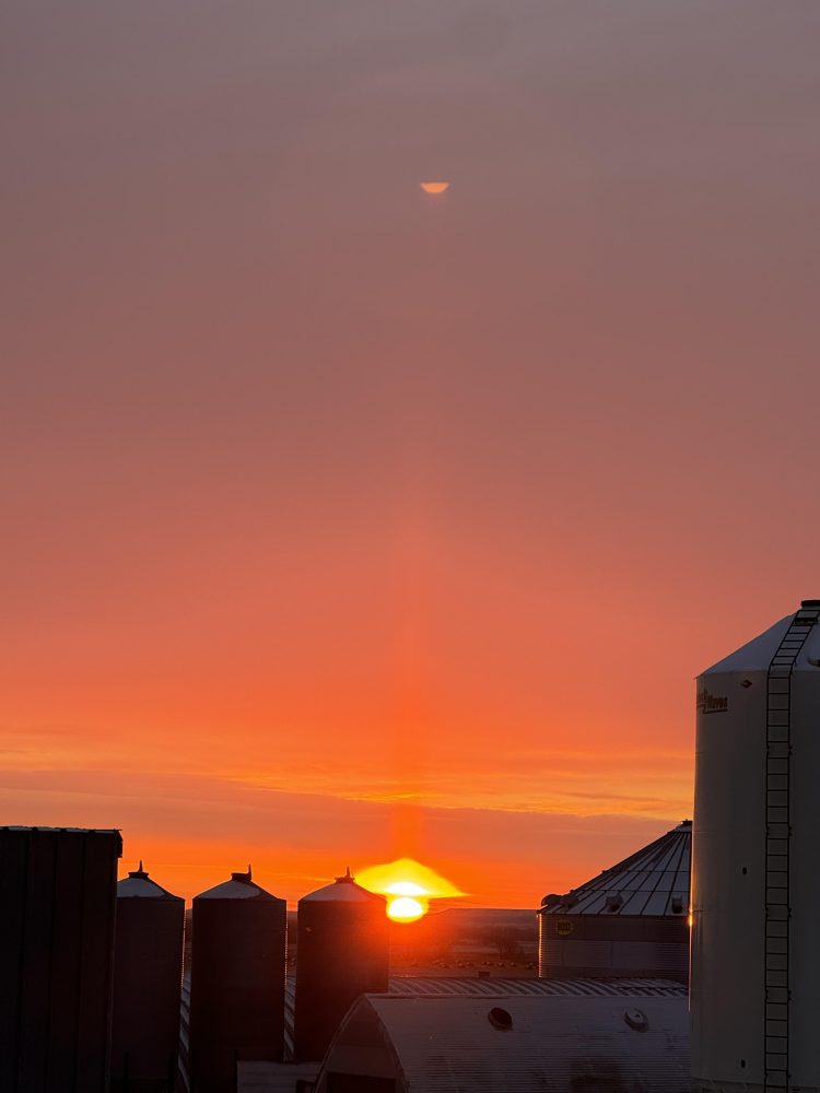 First December Sunrise - SkySpy Photos, Images, Video