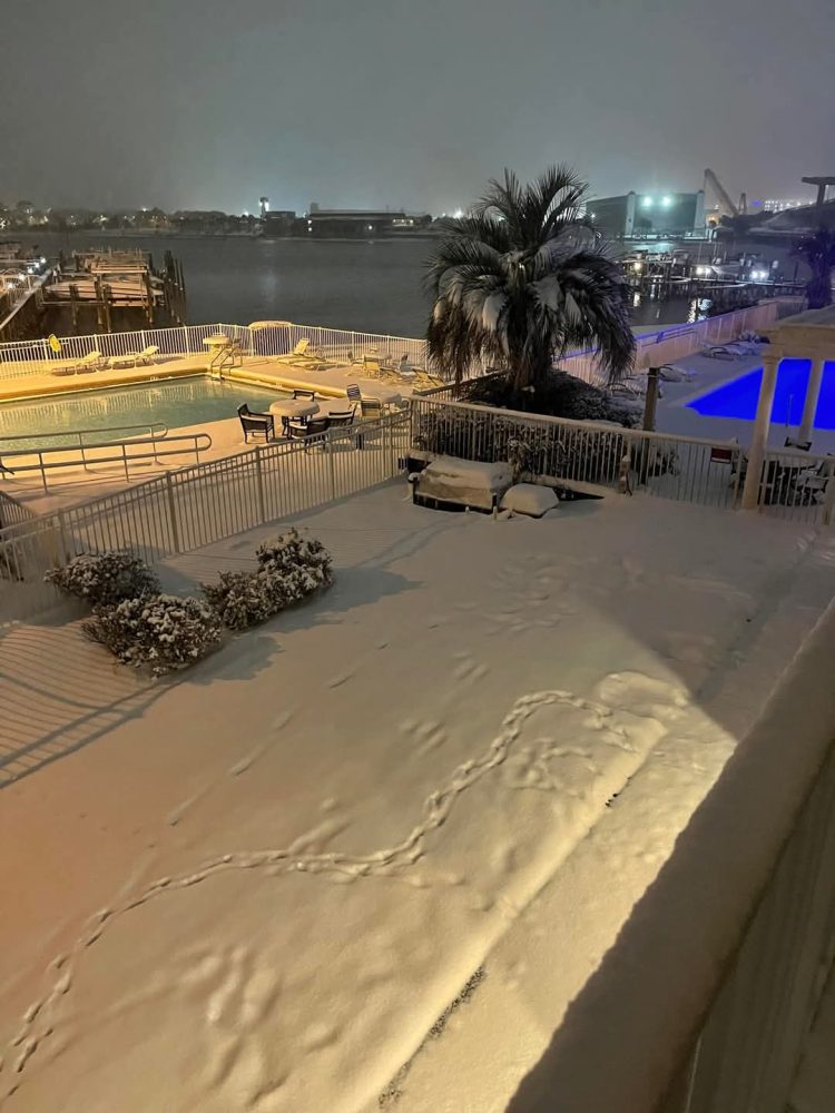 6″+ snow in Florida - SkySpy Photos, Images, Video