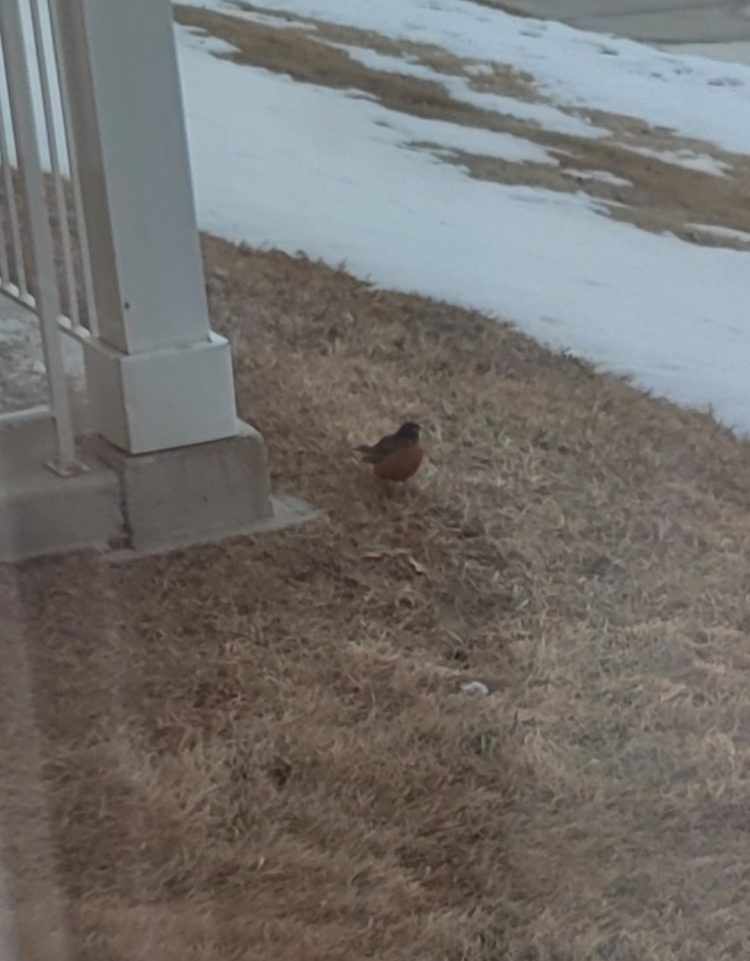 Spring is near? - SkySpy Photos, Images, Video