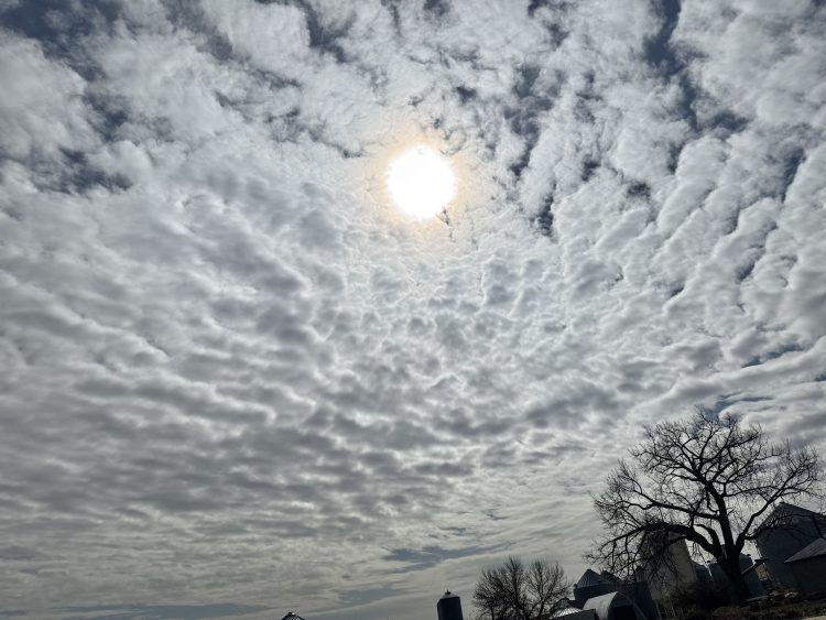 Beautiful Monday! - SkySpy Photos, Images, Video