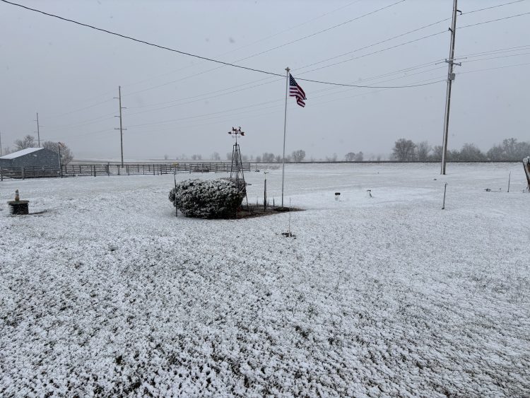 Spring storm - SkySpy Photos, Images, Video