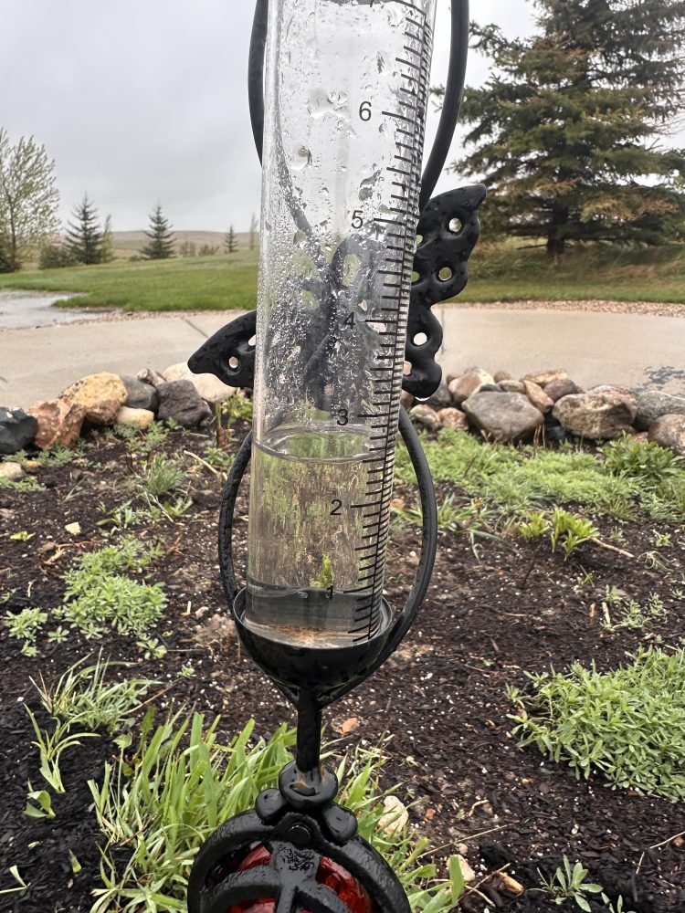 Still raining - SkySpy Photos, Images, Video