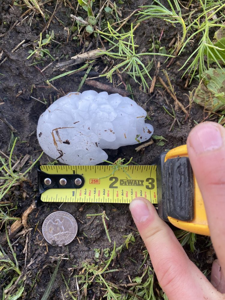 Large Hailstone - SkySpy Photos, Images, Video