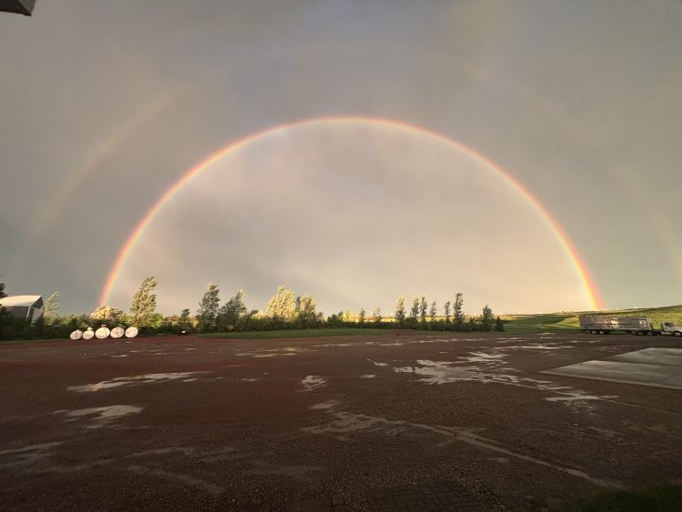 Double complete rainbow - SkySpy Photos, Images, Video