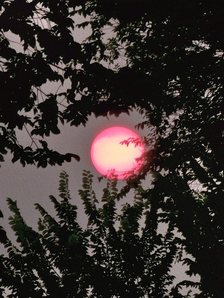 Smokey Sunset - SkySpy Photos, Images, Video