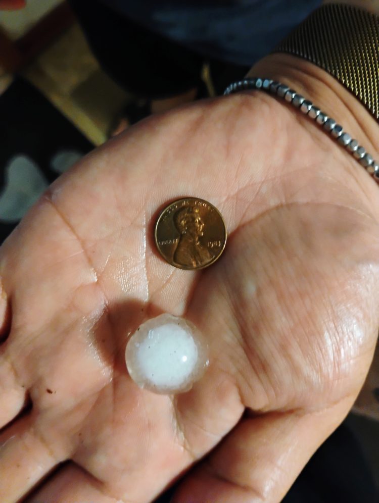 Penny size - SkySpy Photos, Images, Video