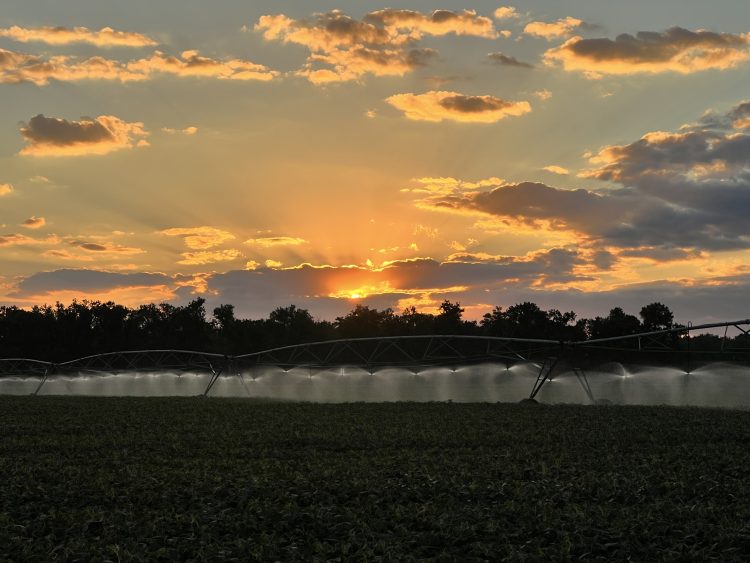 Sunset and a pivot. - SkySpy Photos, Images, Video