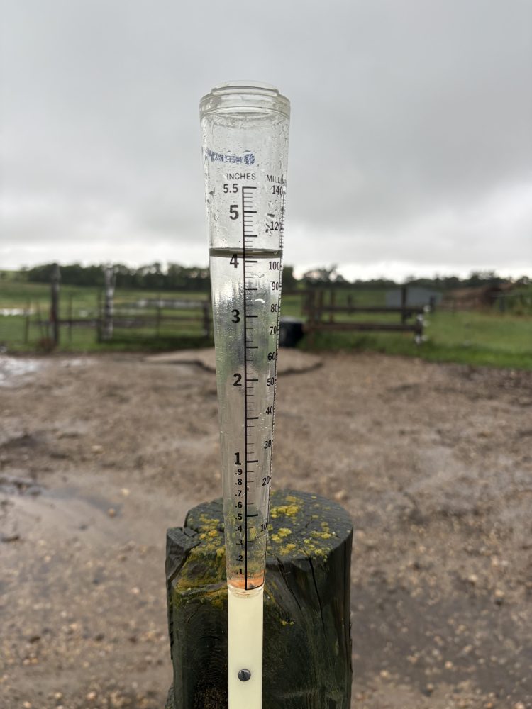 4 plus inches in less than hour - SkySpy Photos, Images, Video