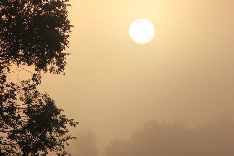 Sun Coming Through The Fog - SkySpy Photos, Images, Video