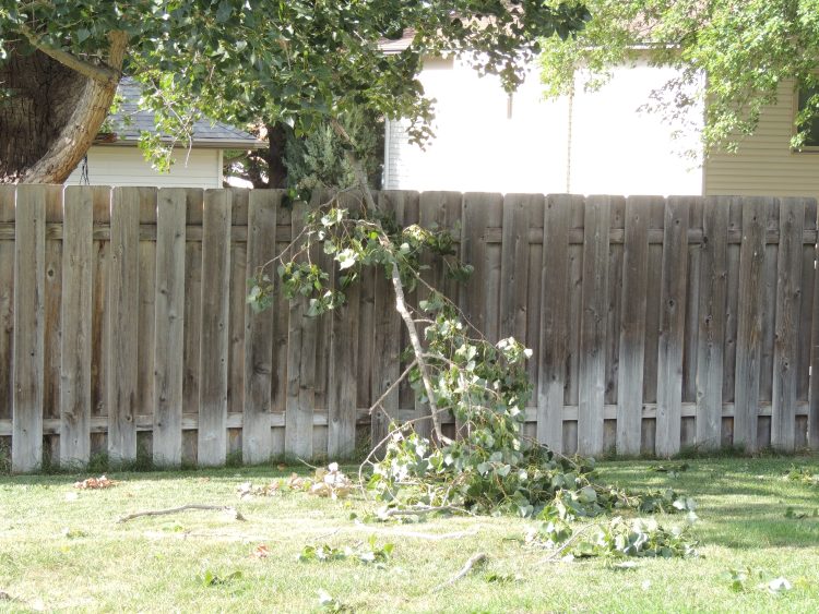 Too Windy! - SkySpy Photos, Images, Video