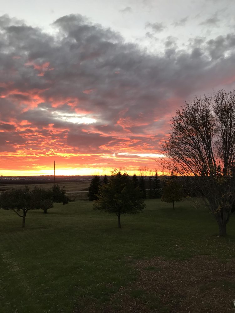 Sunset 10.21.2025 - SkySpy Photos, Images, Video