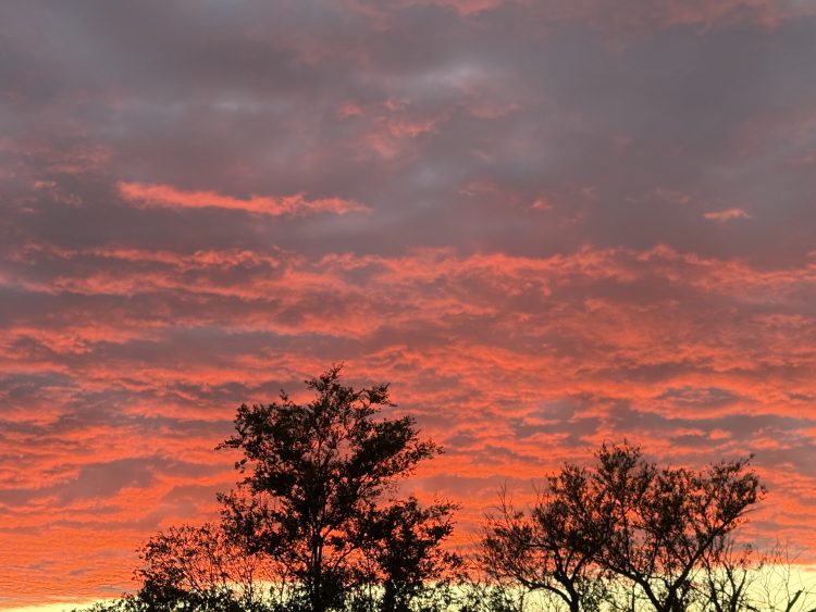 Sunday Sunset - SkySpy Photos, Images, Video