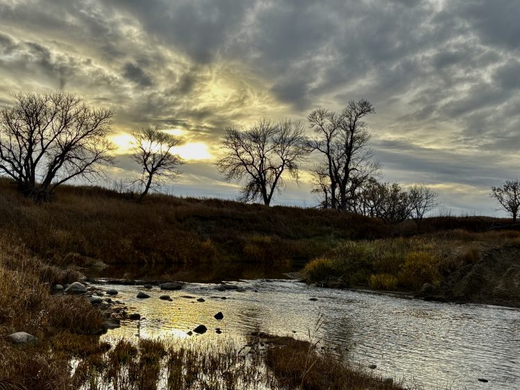 Spectacular November evening - SkySpy Photos, Images, Video